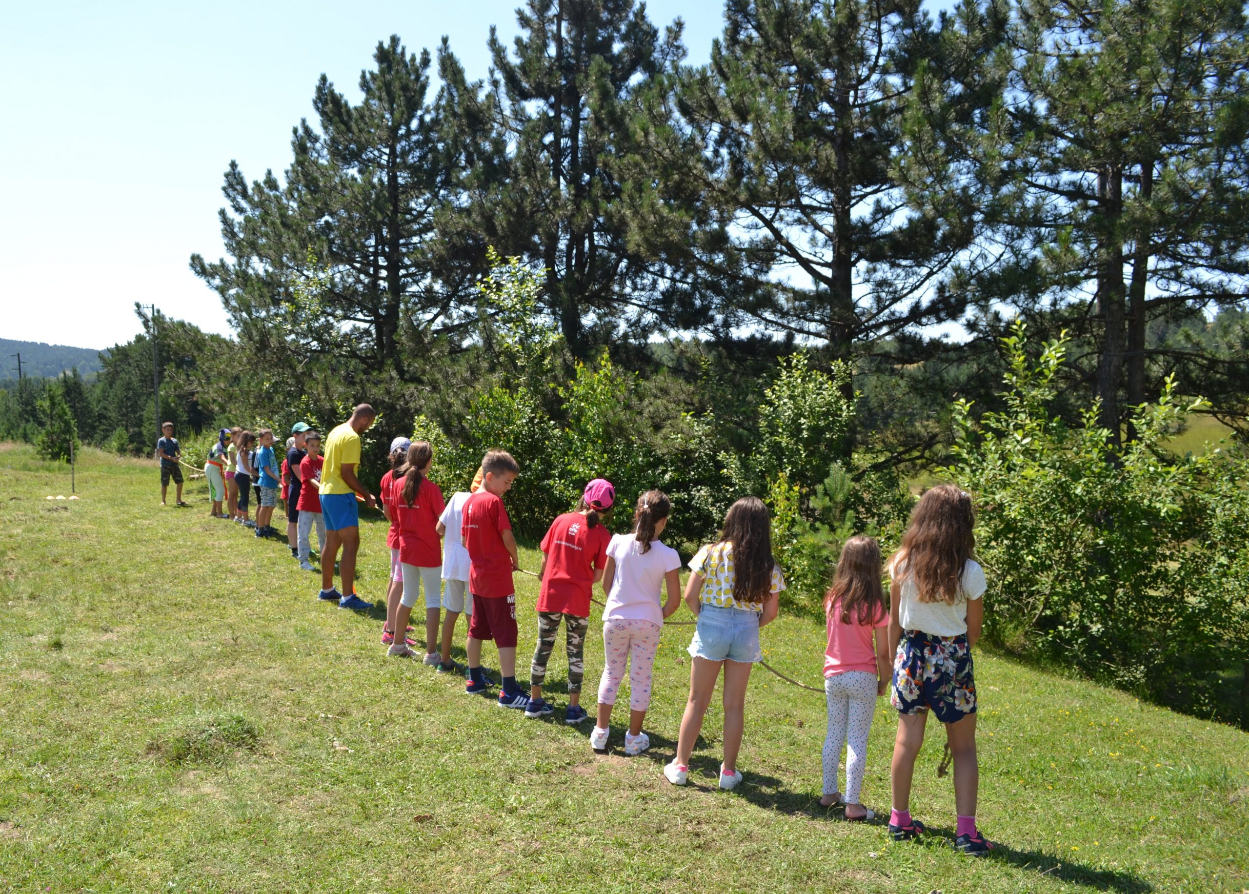 Košutnjak - SUPER KAMP