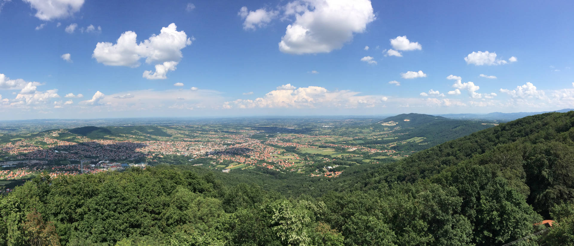 Bukulja